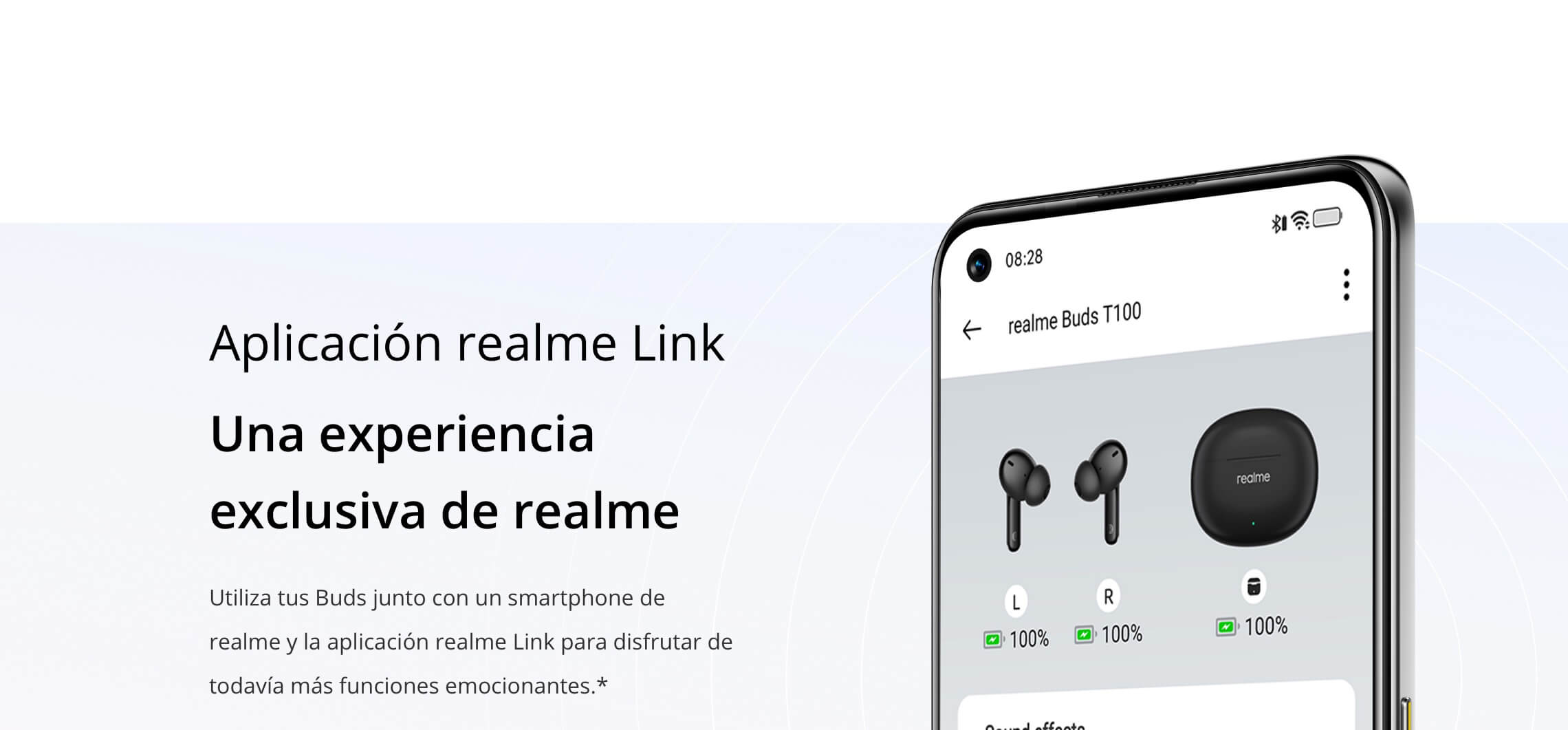 REALME BUDS T100 - Intelec | Tecnología y Fitness